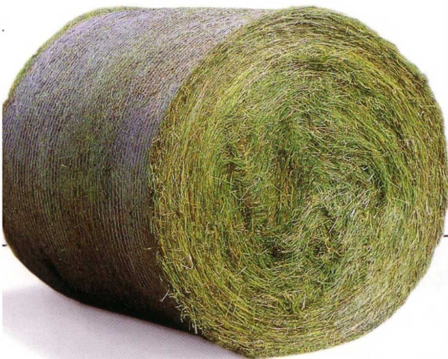 PART 5: GOOD QUALITY HAY - Sernick